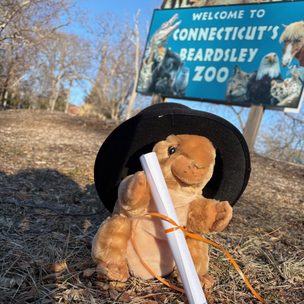 Phil Is A Pill – Beardsley Bart Is The Man Hog – Only In Bridgeport®